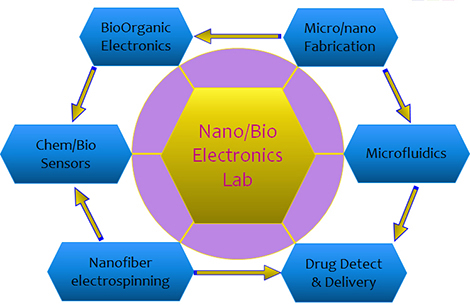 Nanoelectronics Laboratory